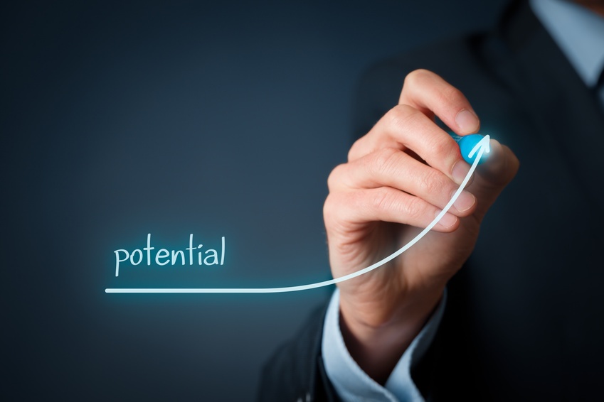 A Step-by-Step Guide to Business Optimization